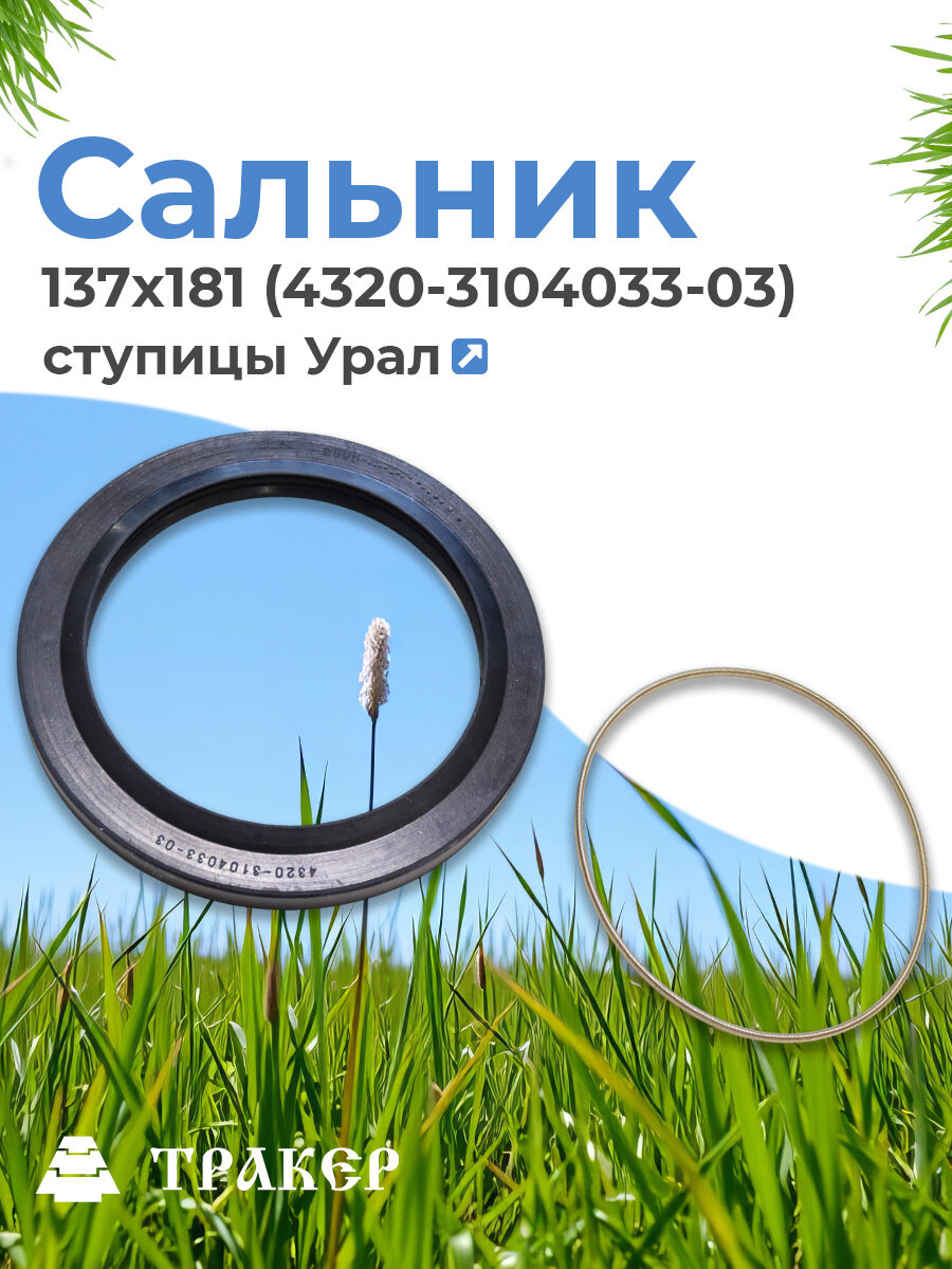 Сальник ступицы новый образец 137х181 (4320-3104033-03) Урал