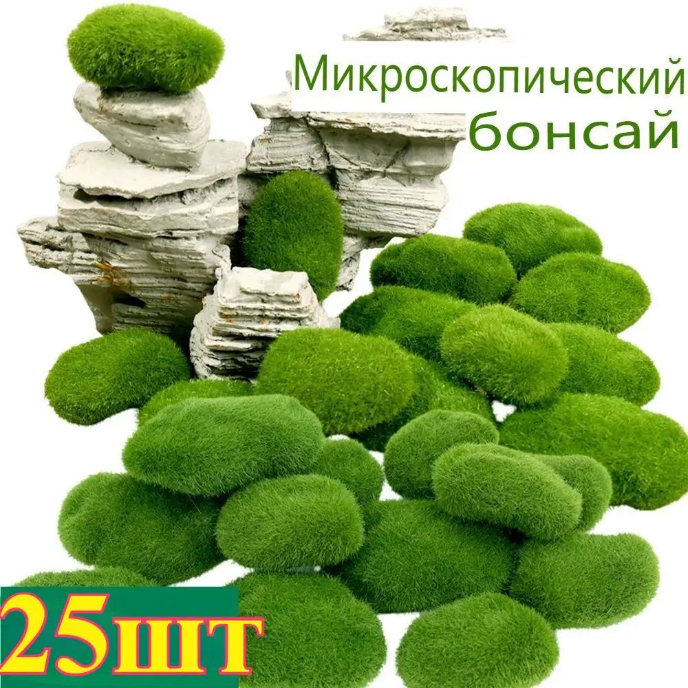 Стабилизированный мох Мох, 25 шт