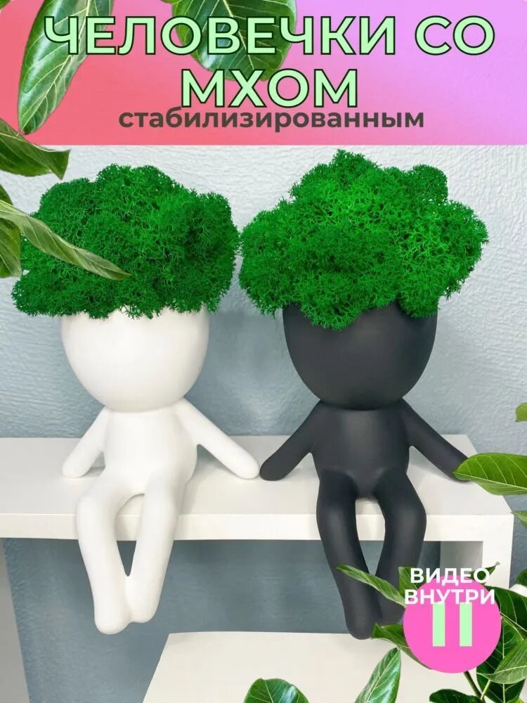 Prima Стабилизированный мох Анемона, 17 см, 2 шт