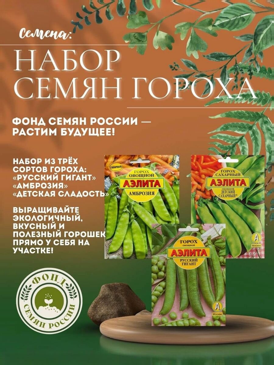 Набор Семян Гороха, 30 грамм, 3 упаковки.