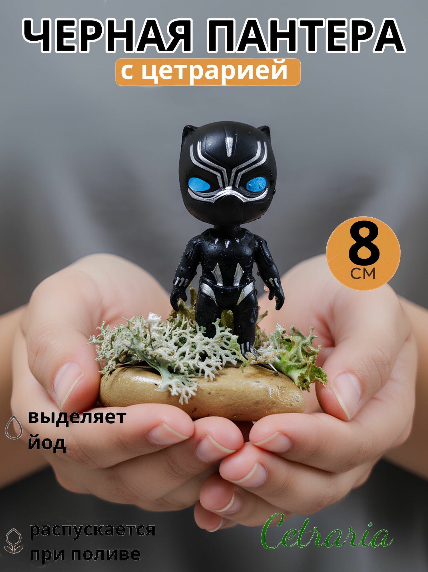 Статуэтка Черная Пантера на камне с Цетрарией