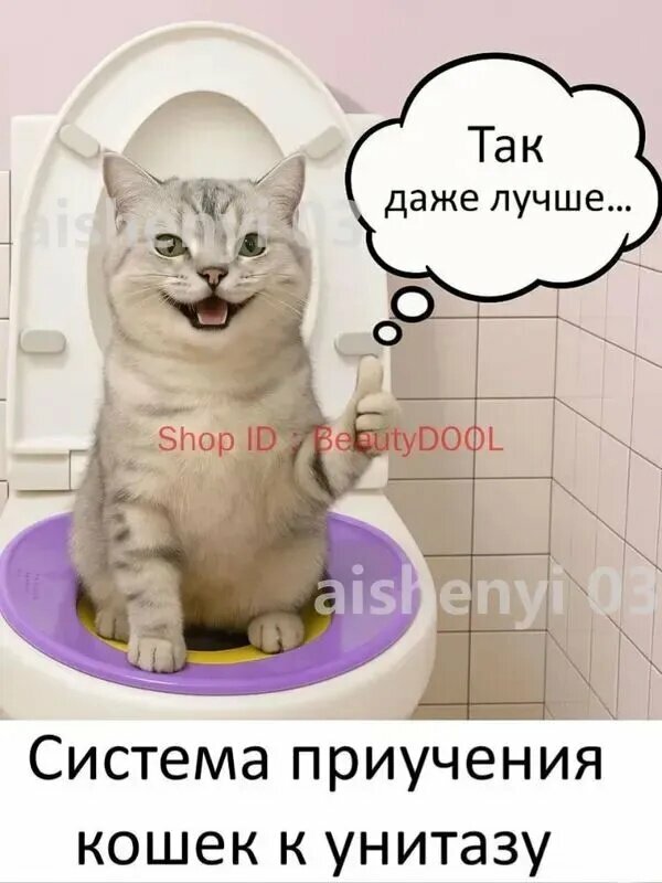 Система приучения кошек к унитазу, лоток на унитаз для кота