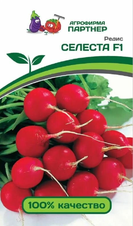 Семена Редис Селеста F1 1 гр