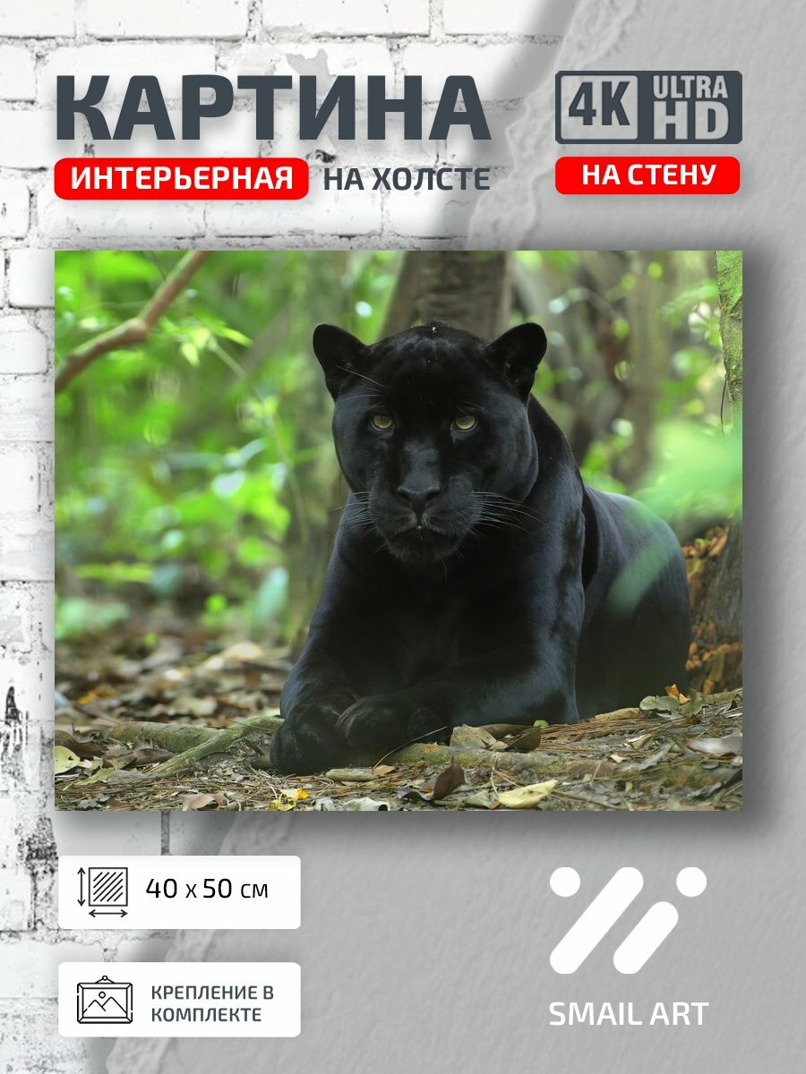 Картина на холсте интерьерная 40 на 50 на стену Пантера Mood для кабинета атмосфера декор