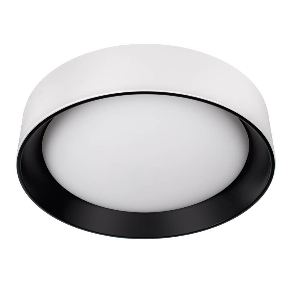 10202 WB Потолочный светильник LOFT IT Coin