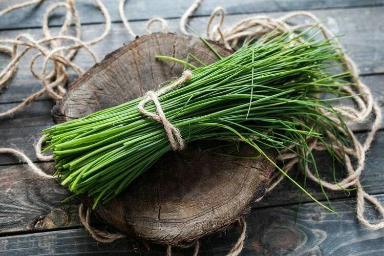 Коллекционные семена лука шнитт Эльви