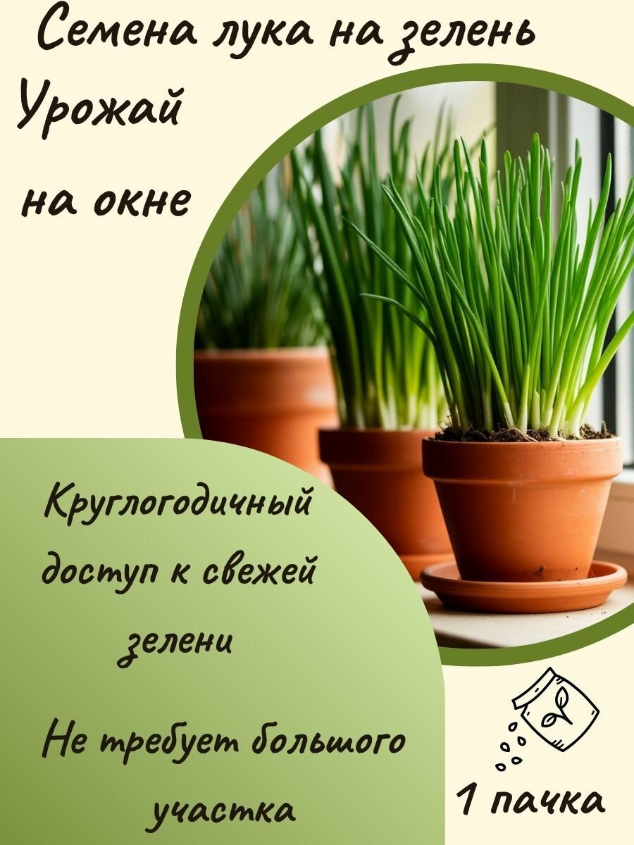 Семена лука на зелень Урожай на окне, 10 шт. семян