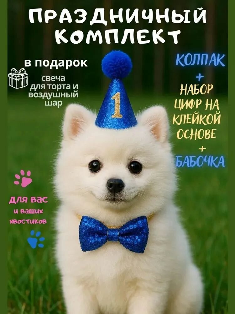 Набор для дня рождения собаки и кошки, праздничный, синий: костюм, колпак, бабочка, цифры