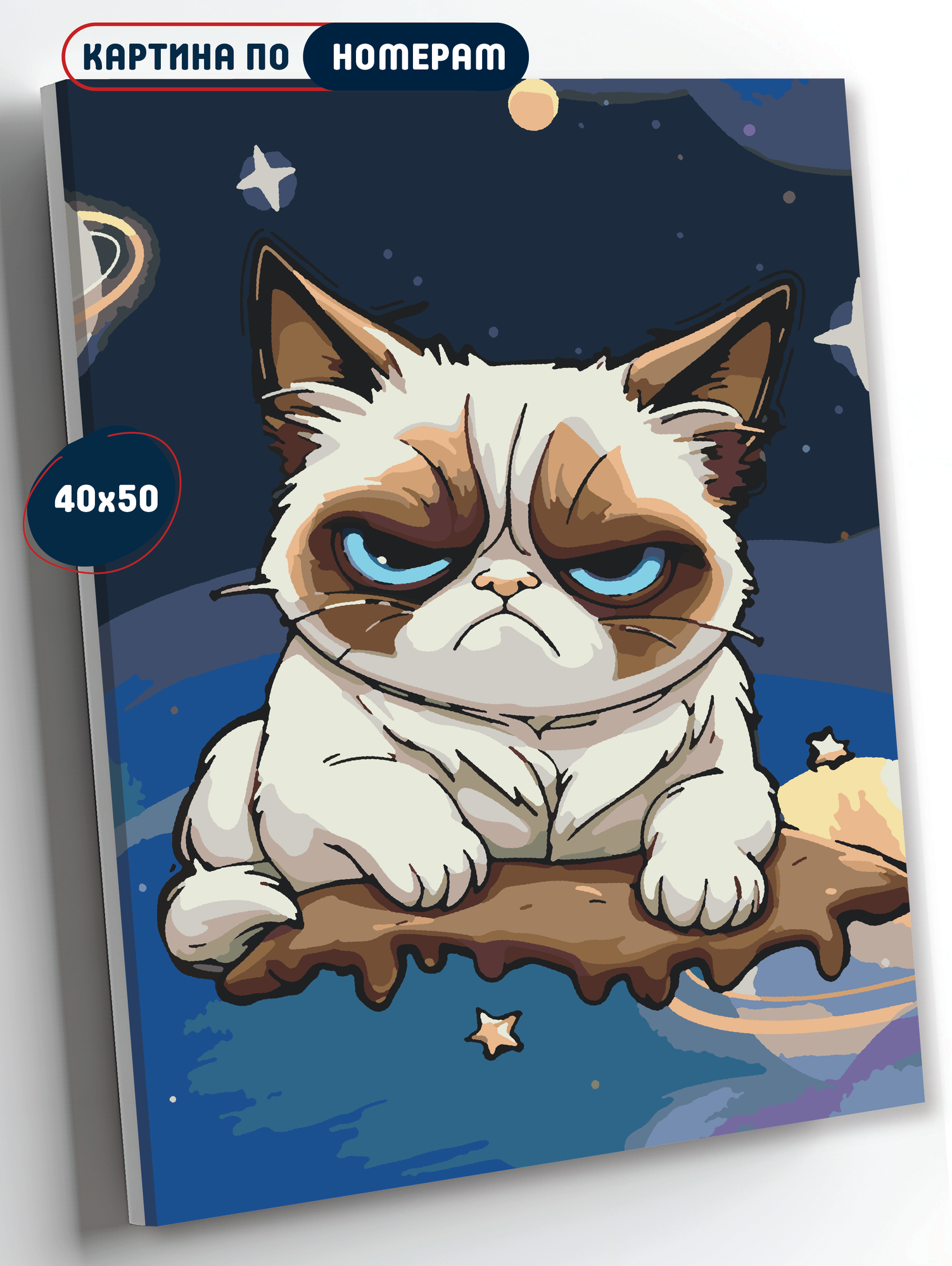 Картина по номерам "Кот в космосе", Холст на подрамнике 40х50, набор для рисования, с животными