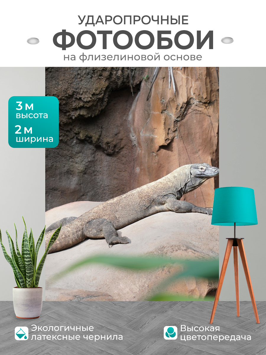 Фотообои моющиеся ударопрочные "Дракон комодо, животное, камень" 200x300 см. флизелиновые на стену