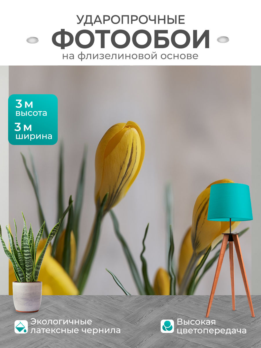 Фотообои моющиеся ударопрочные "Крокус, желтый, желтый крокус" 300x300 см. флизелиновые на стену