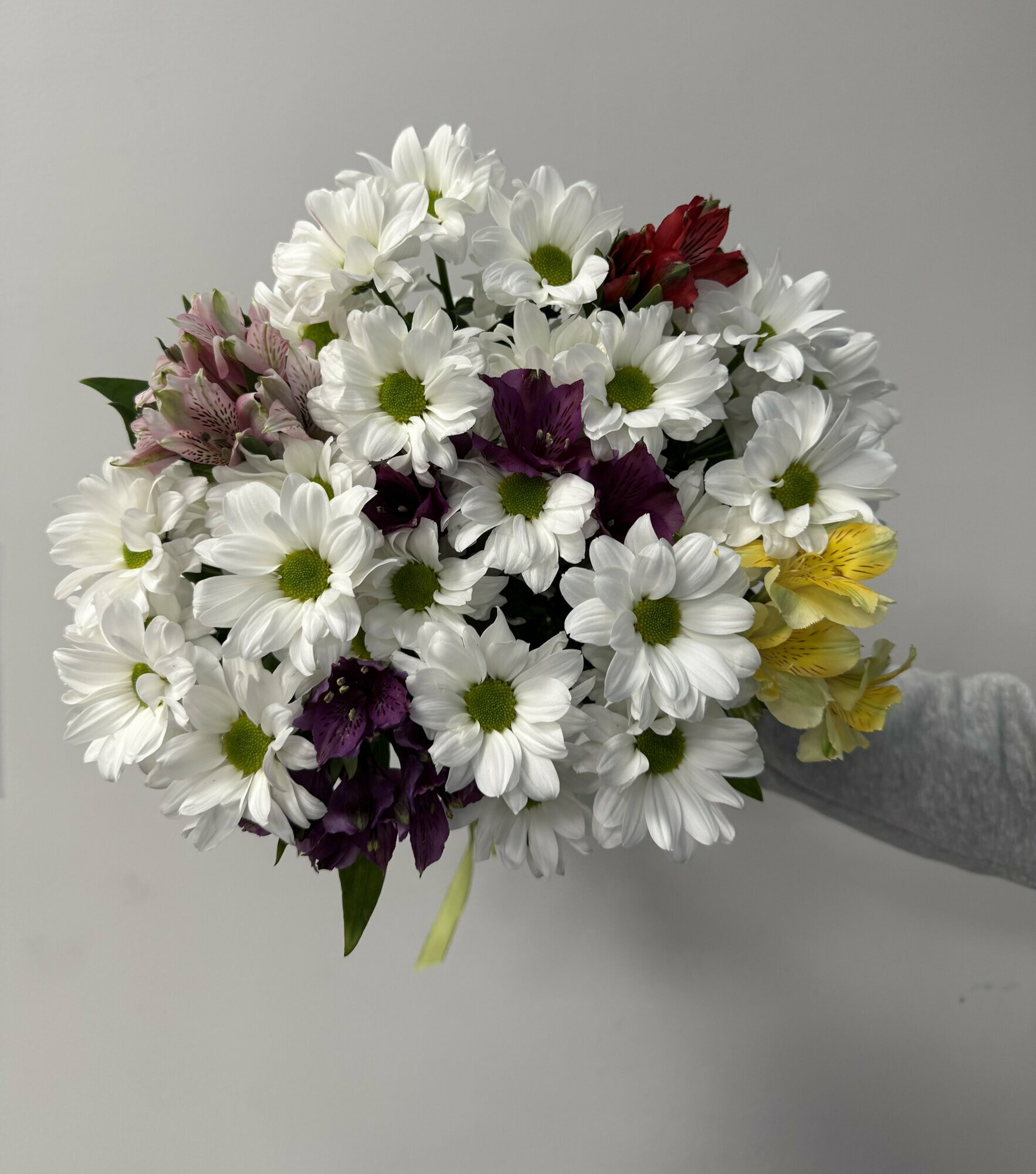 Букет из 5 альстромерий микс и 4 кустовых хризантем под ленту, сборный букет, 50 см | Турбофлора