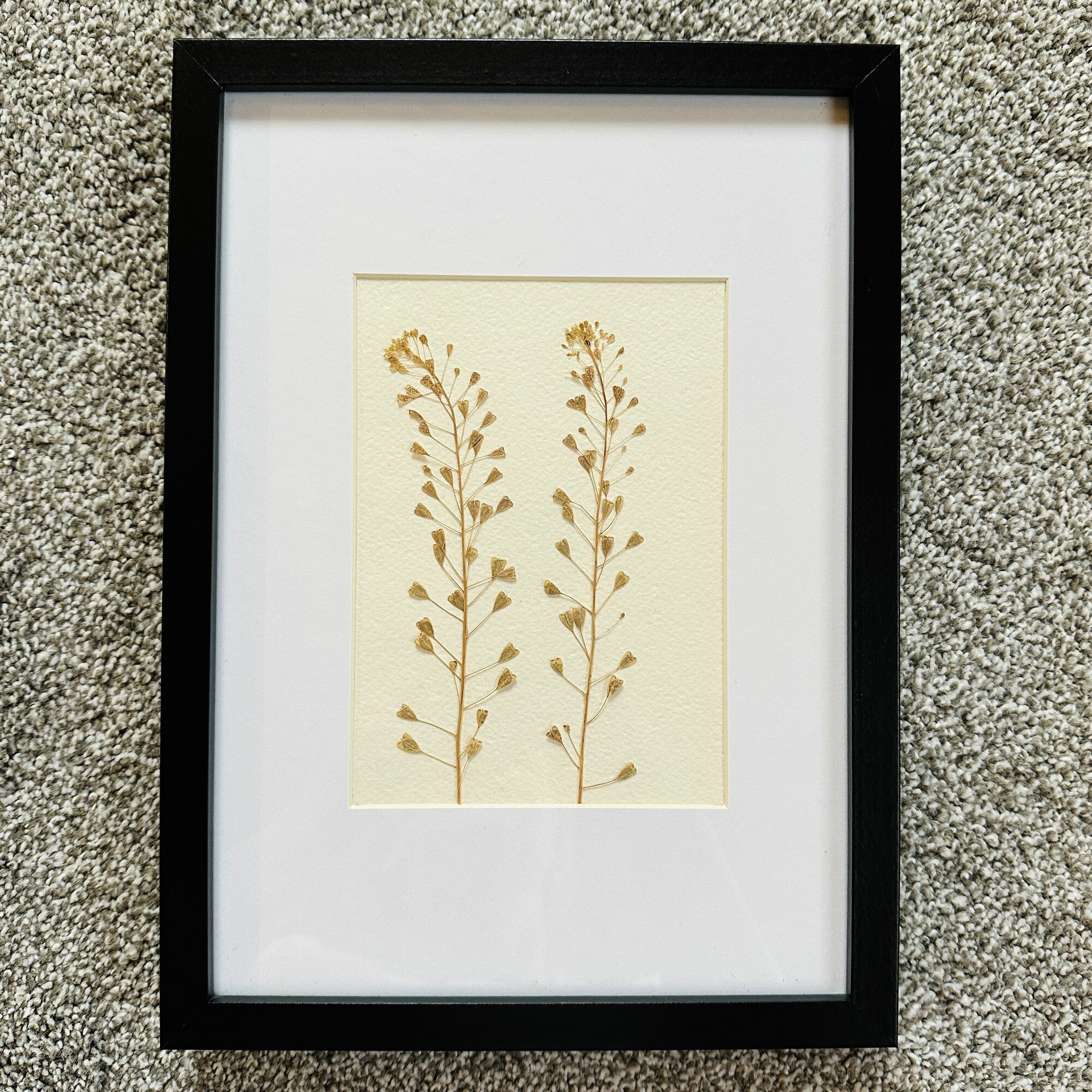 Панно ручной работы с сухоцветами в рамке