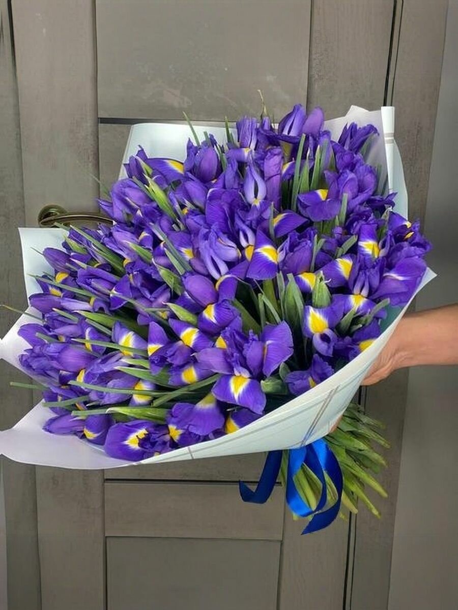 Букет из 51 синего ириса