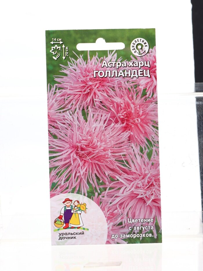 Семена Цветы Астра харц Голландец (УД) Е/П , Е/П, 0,2 г. 10964997