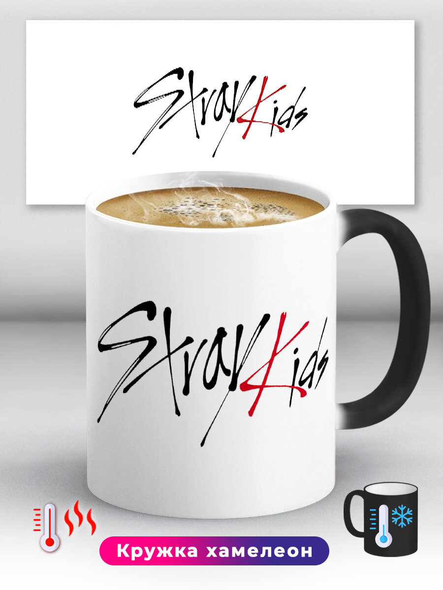 Кружка хамелеон Stray Kids K-POP