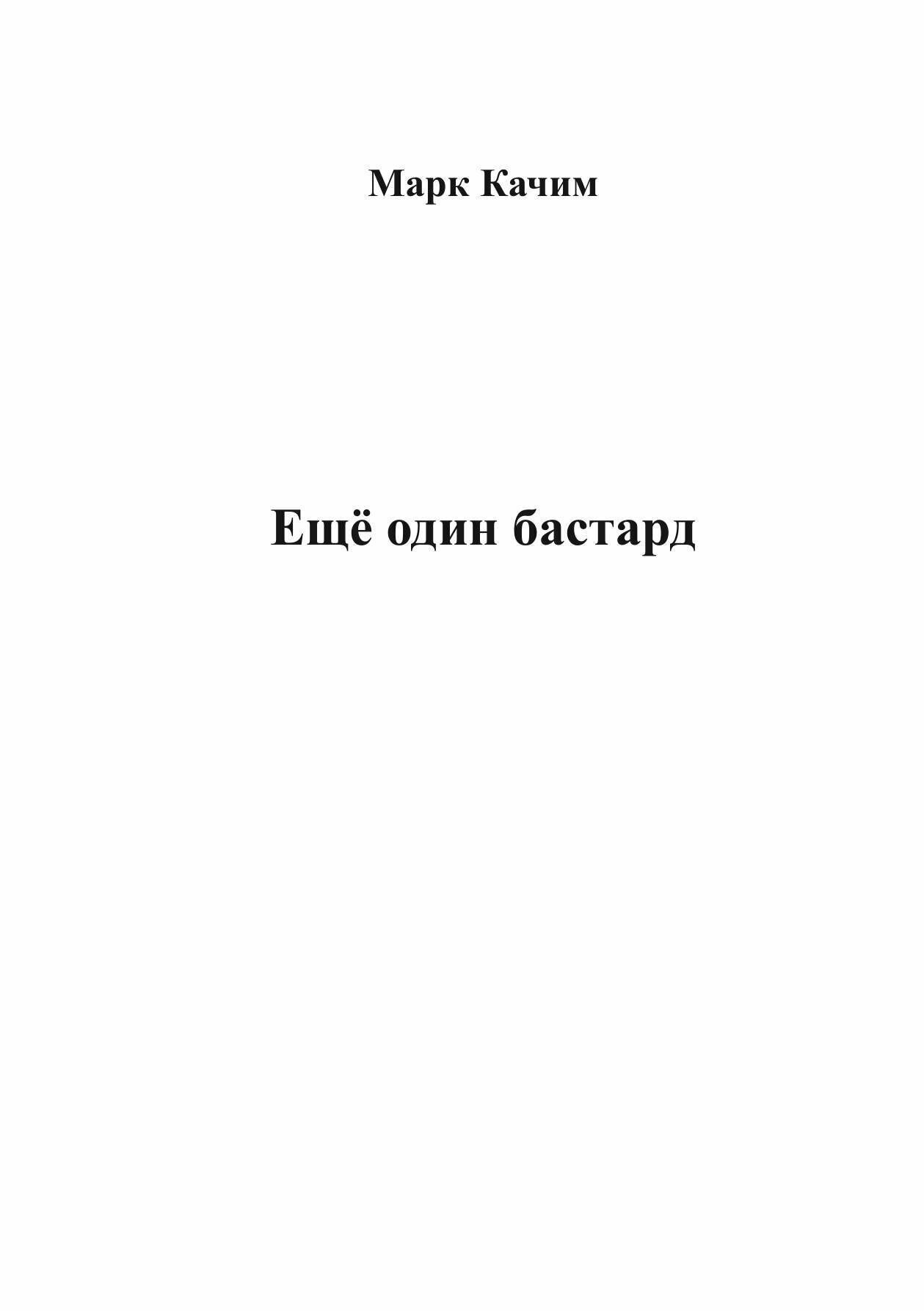 Ещё один бастард — фото 1