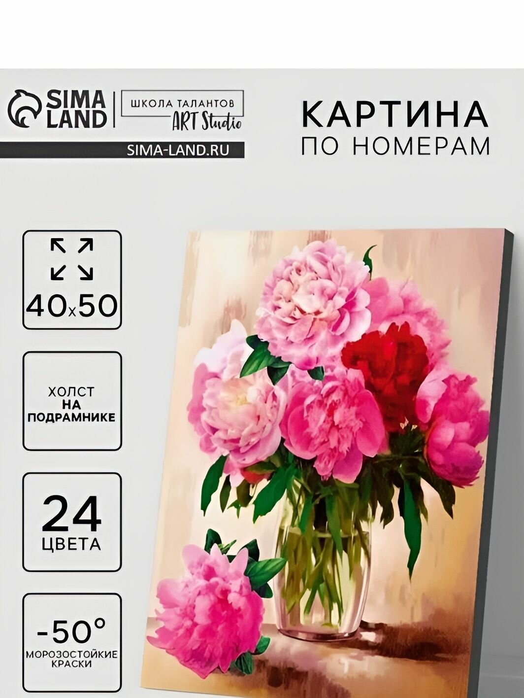 Картина по номерам на холсте с подрамником Пионы 4050 см