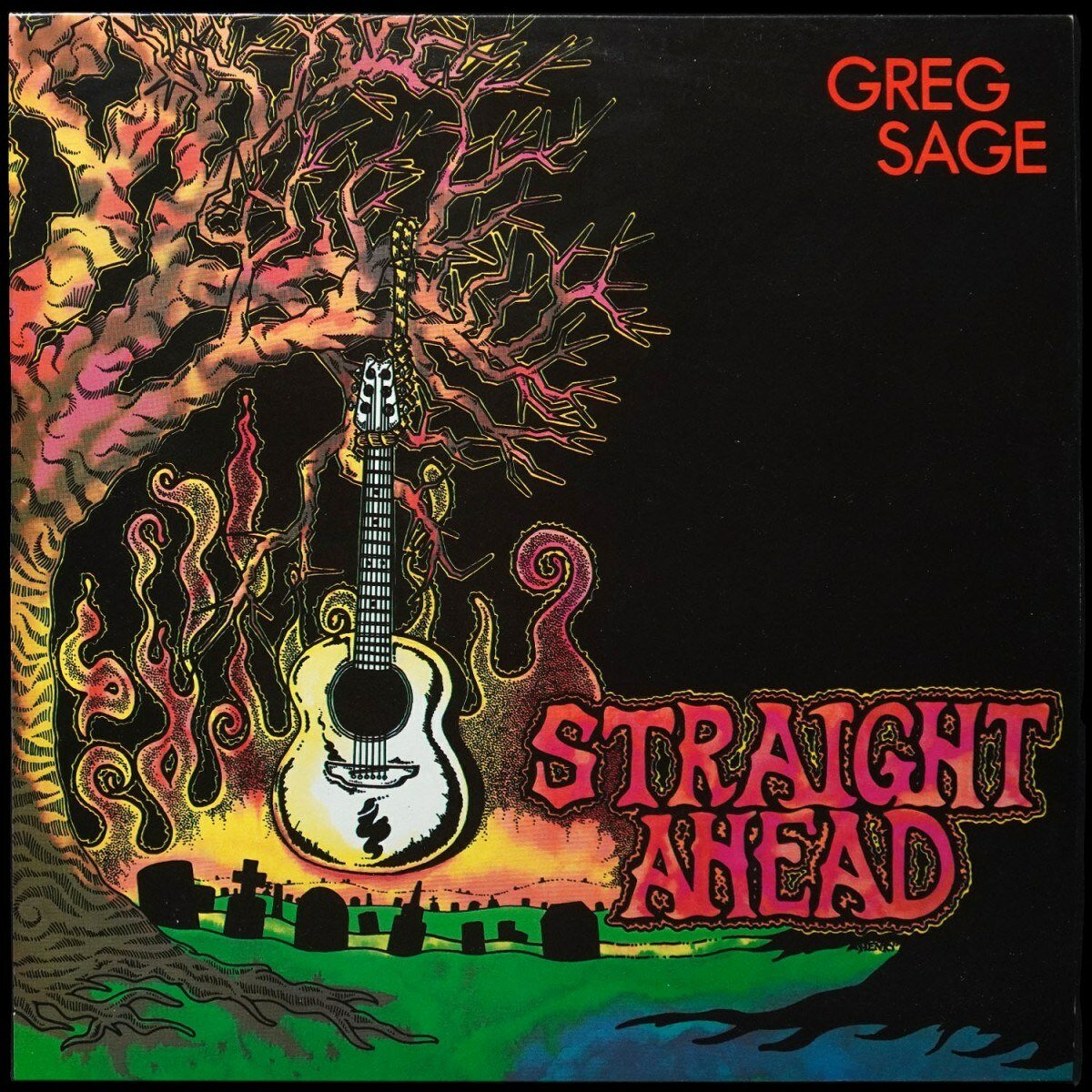 Виниловая пластинка Enigma Greg Sage – Straight Ahead