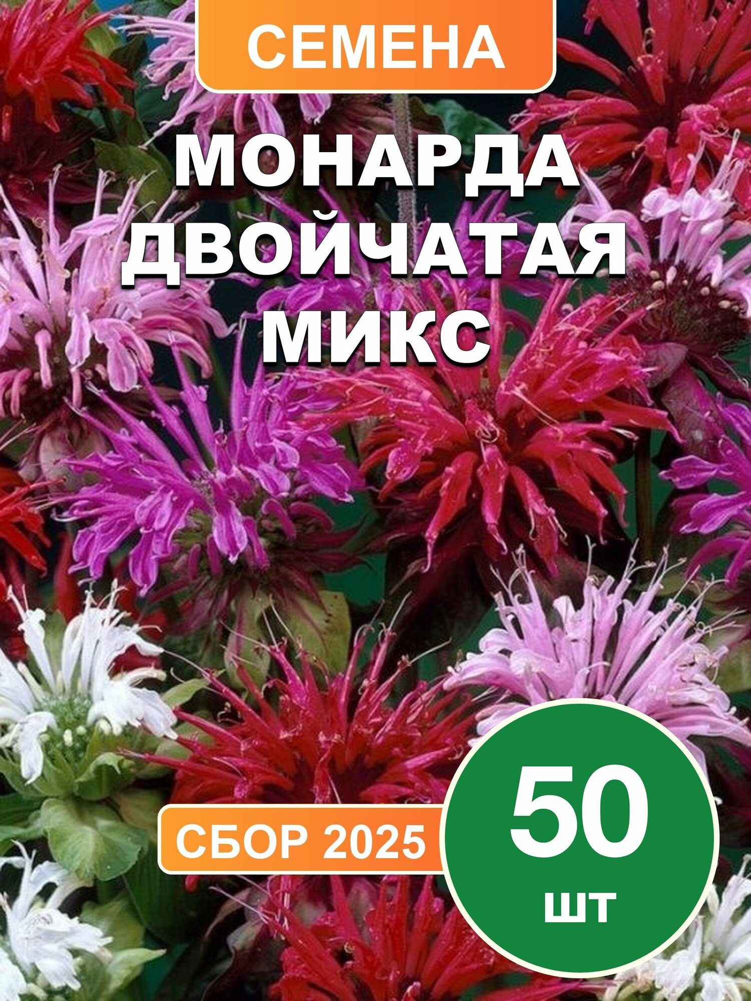 Монарда двойчатая, семена, 50 шт