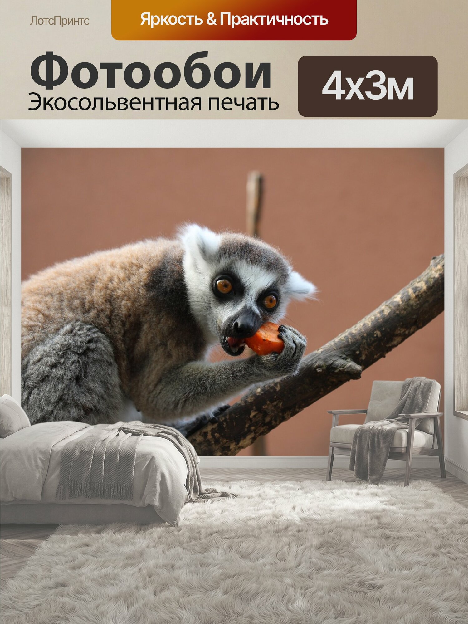 Фотообои "Маки, обезьяна, кольцо хвост лемур" 400x300 см. экосольвентная печать