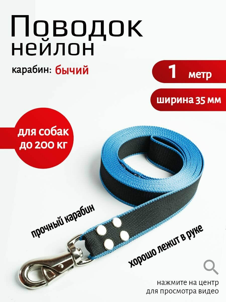Поводок Хвостатыч для собак с бычьим карабином нейлон 1 м х 35 мм (сине-черный)