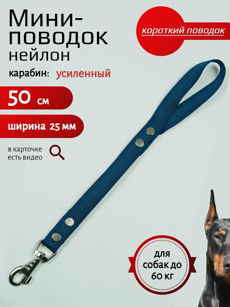 Мини-поводок Хвостатыч для собак с усиленным карабином нейлон 50 см х 25 мм (темно-синий)