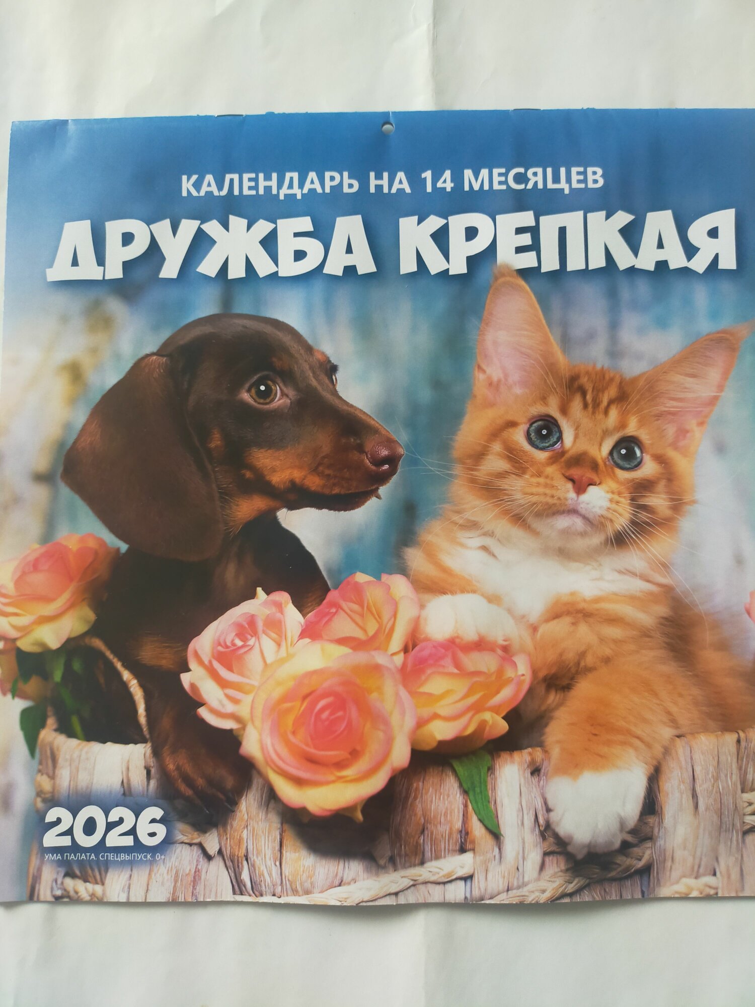 Календарь Дружба крепкая 2026 спецвыпуск журнала Ума палата 01/25