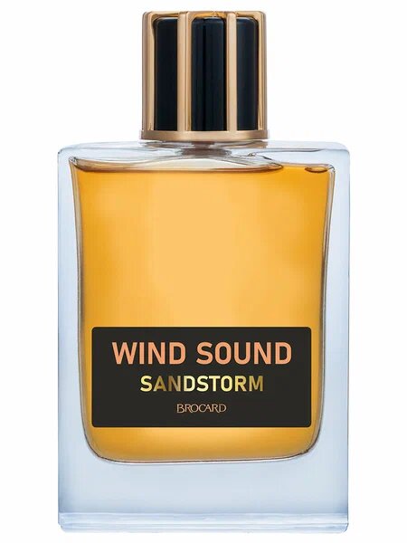 Brocard Wind Sound. Sandstorm туалетная вода 100 ml