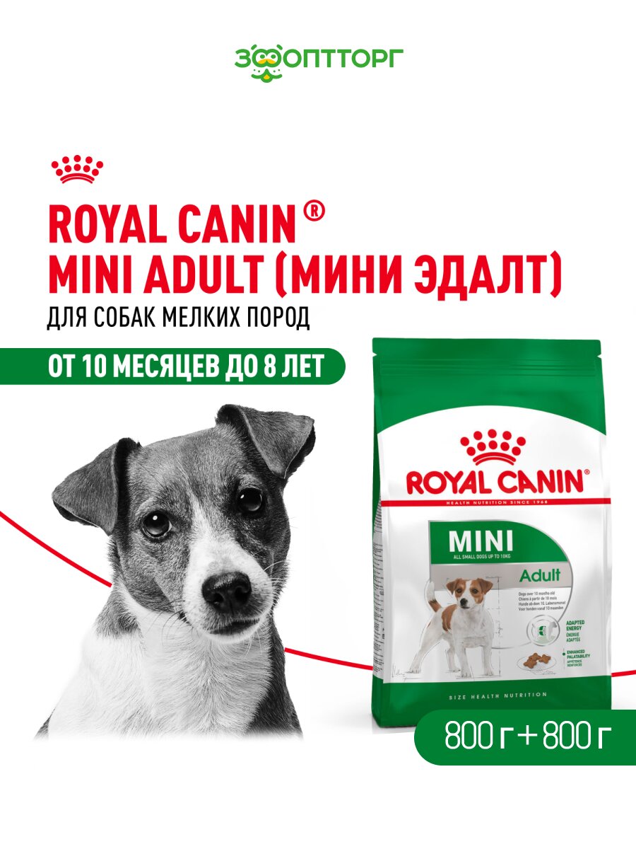 Сухой корм Royal Canin Mini Adult для взрослых собак мелких пород Птица, 800 г х 2 шт.