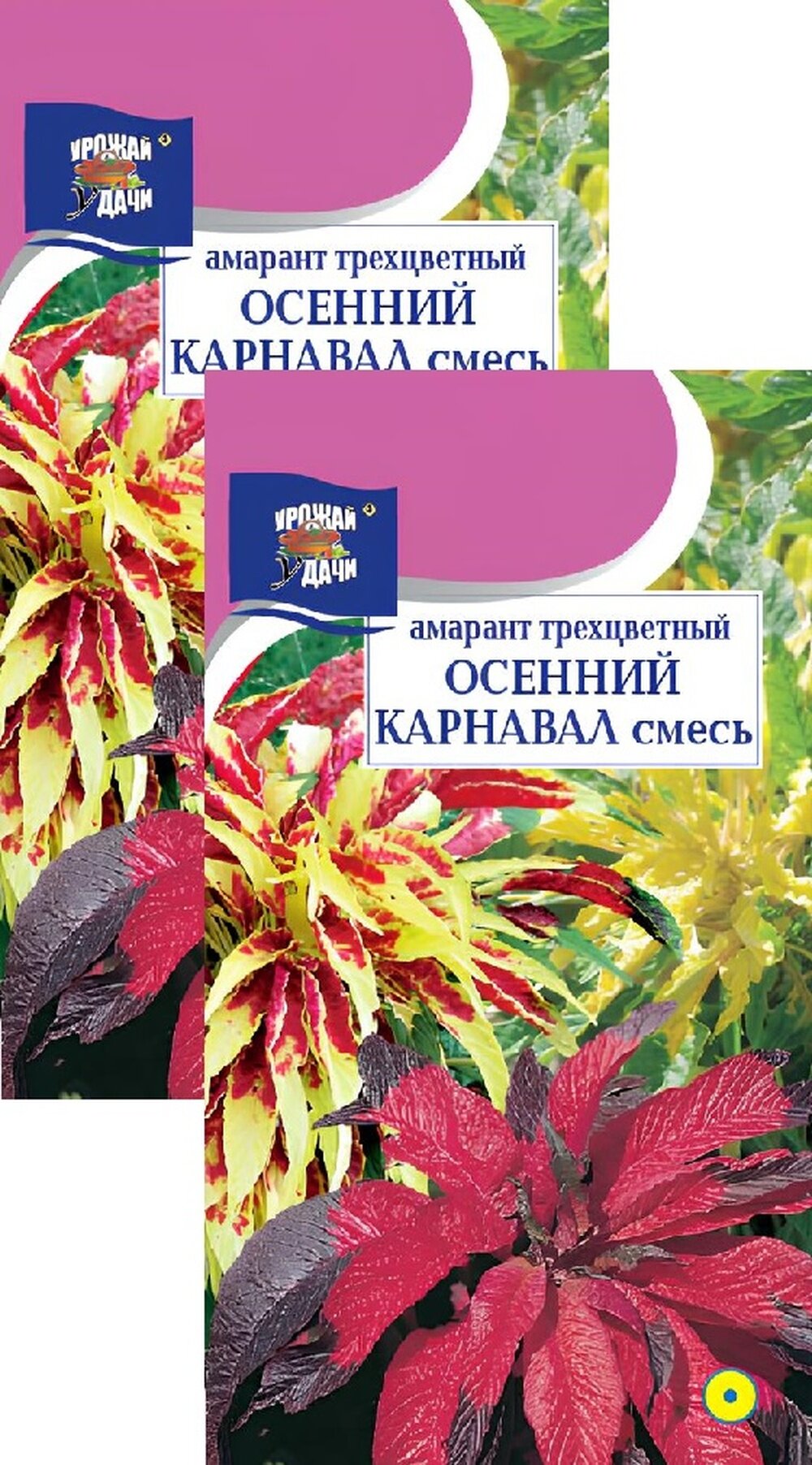 Семена Амарант трёхцветный Осенний карнавал (0,05 г), 2 пакета, Урожай Удачи