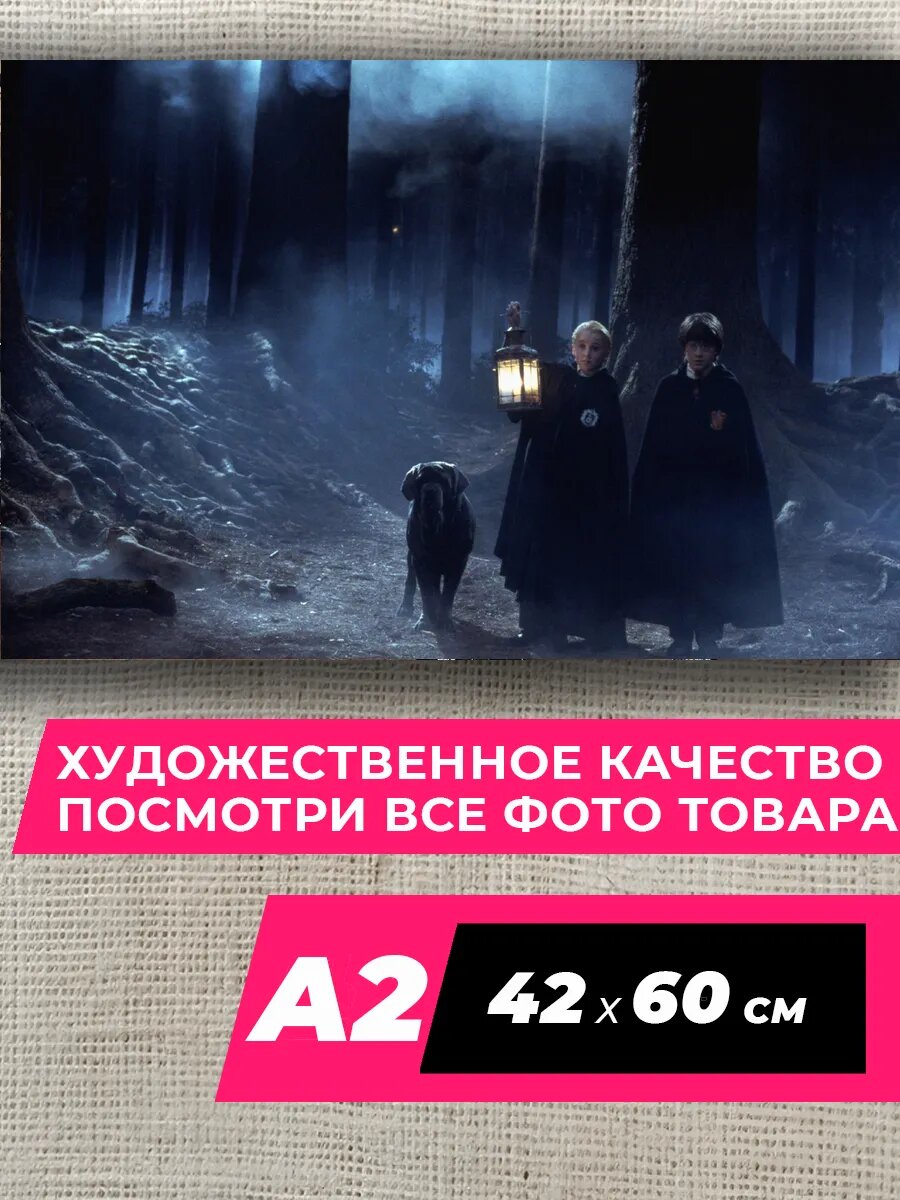 Постер Гарри Поттер Гарри Поттер в лесу A2, матовая фотобумага премиум качества