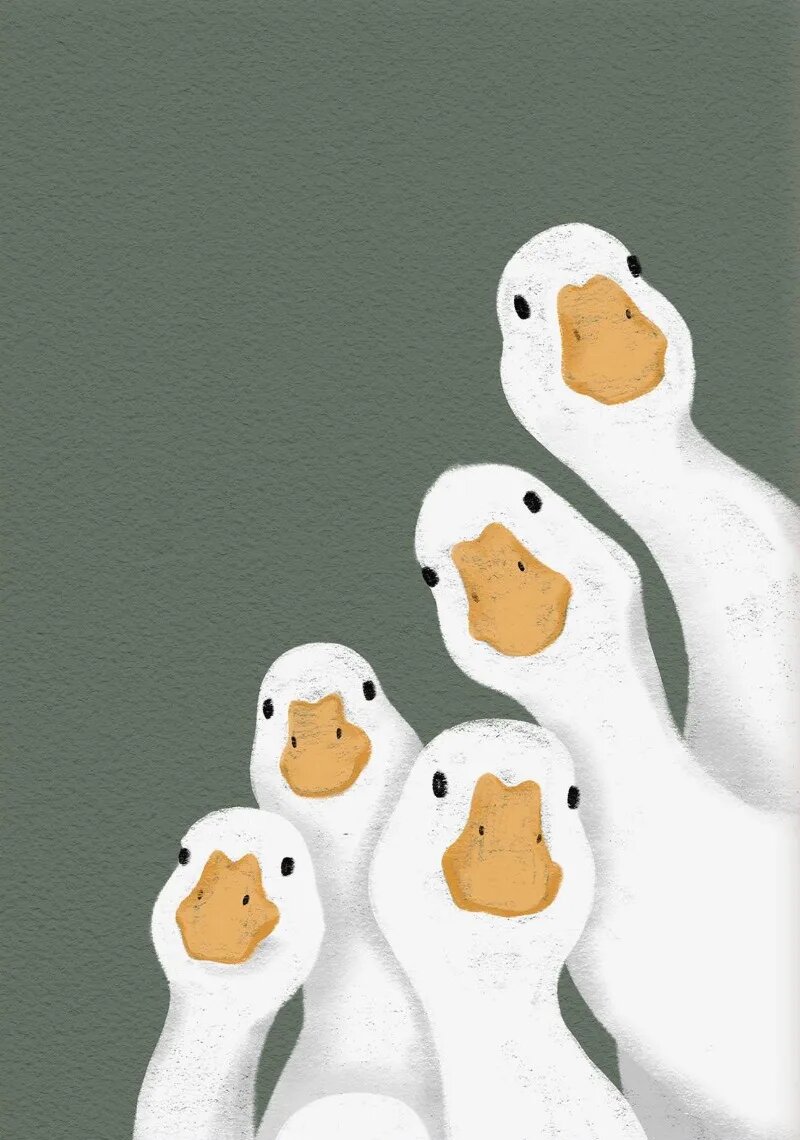 Художественный постер с уткой для ванной комнаты TT1446, 30x45cm no frame