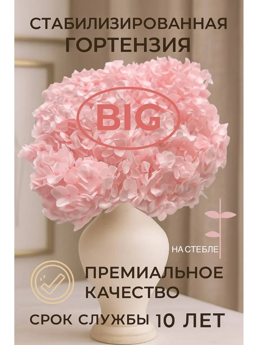 Гортензия стабилизированная сухоцветы для декора растения на стебле
