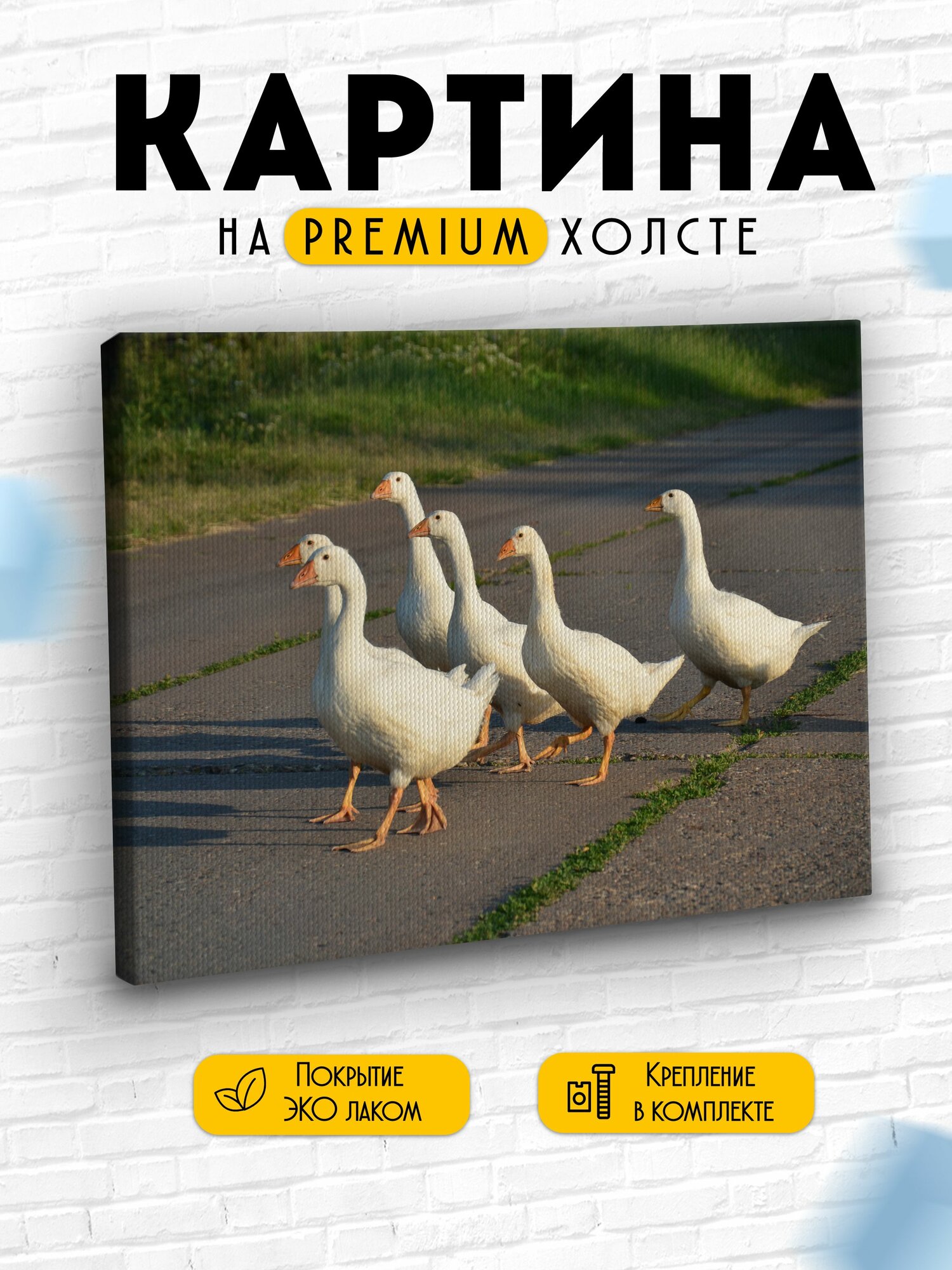Картина, Животные, Гуси, картина на холсте