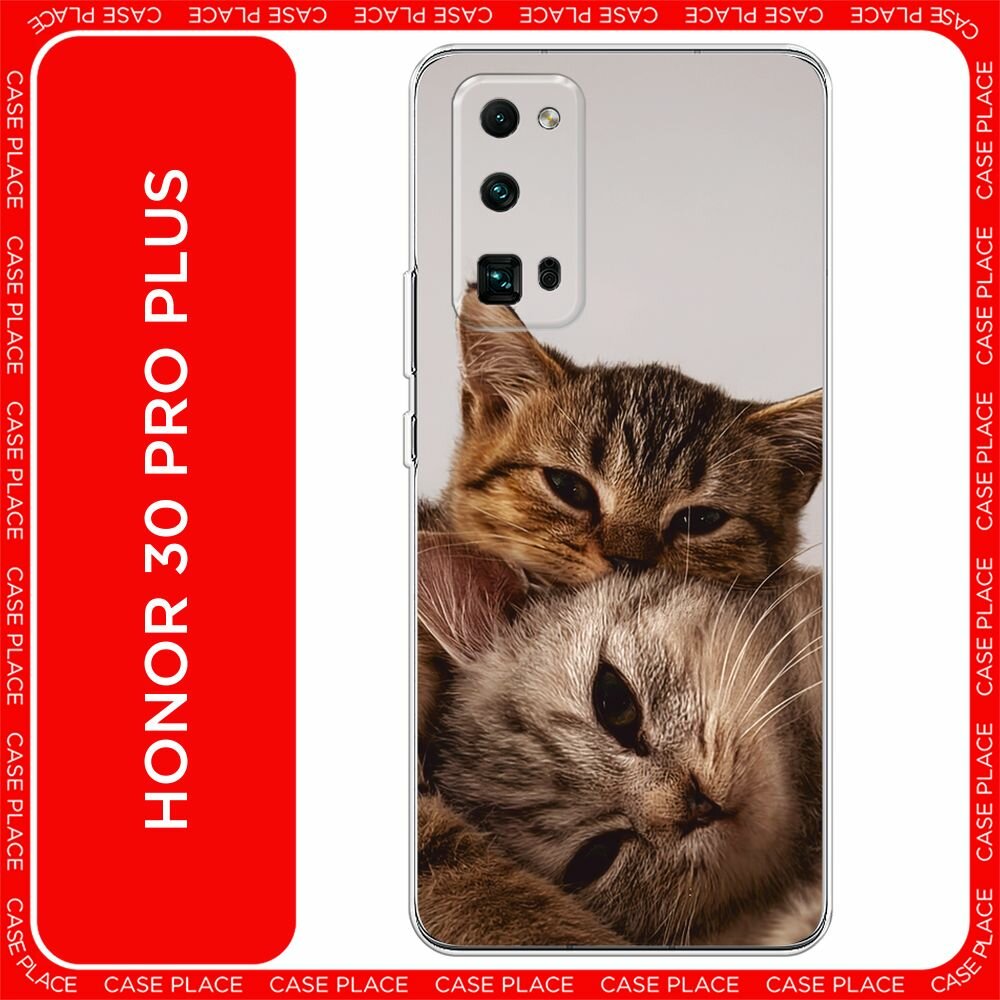 Чехол на Honor 30 Pro Plus / Хонор 30 Про Плюс с принтом "Нежные котята - 14 февраля"