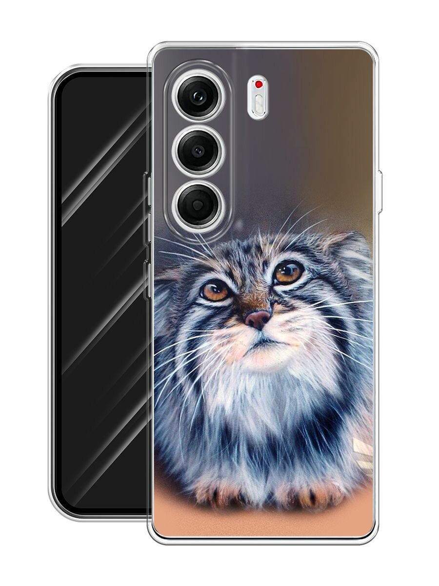 Чехол на Tecno Camon 40 Pro / Текно Камон 40 Про с принтом "Кот манул 2" — фото 1