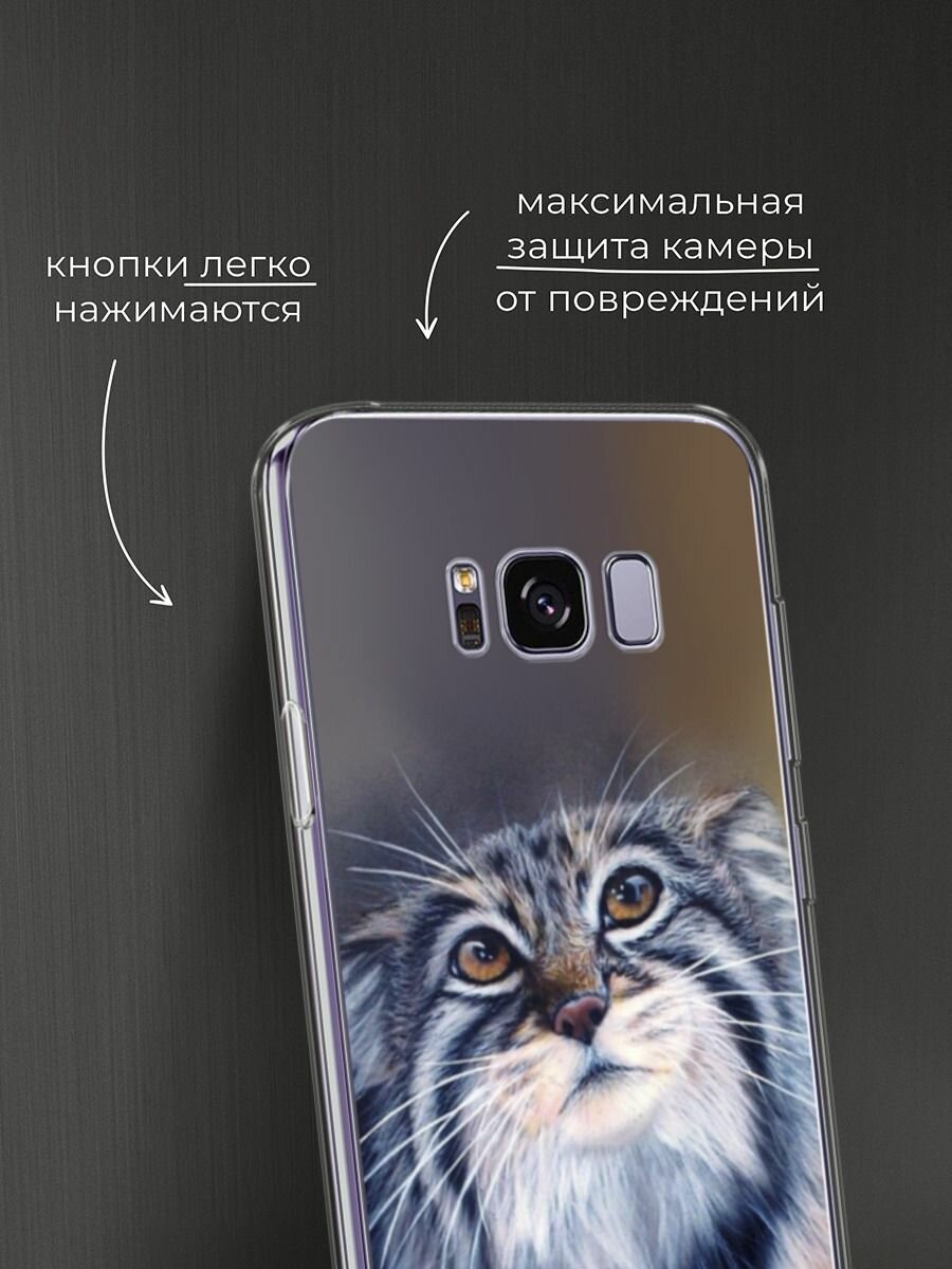 Чехол на Samsung Galaxy S8 + / Самсунг Галакси С8 Плюс с принтом "Кот манул 2" — фото 1