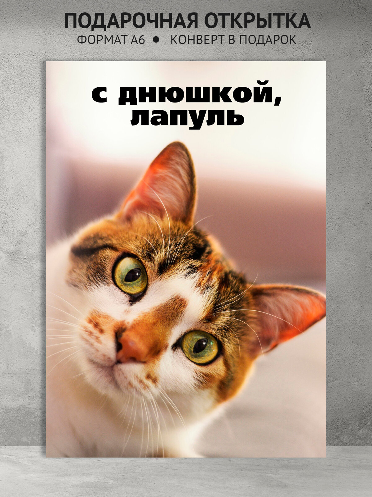 Подарочная открытка с уникальной иллюстрацией котик "С днюшкой, лапуль" с днем рождения, с юбилеем