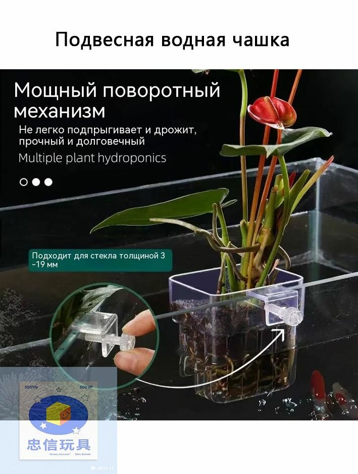 Держатель для аквариумных растений, подвесные водные горшки с отверстием чашек, живой аквапонический пейзаж