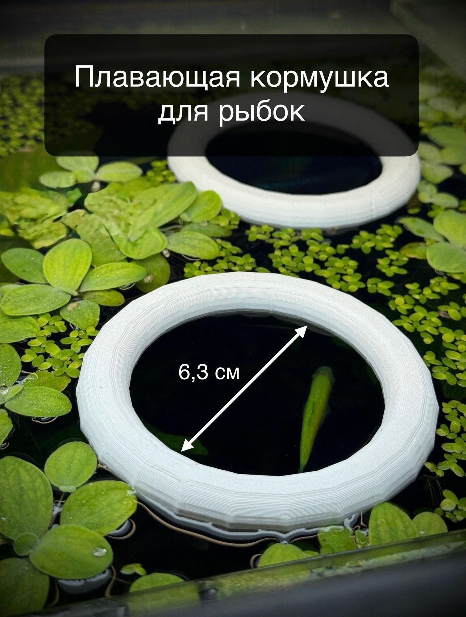 Плавающий круг-кормушка для аквариума, белый цвет, диаметр 9 см, 2 шт
