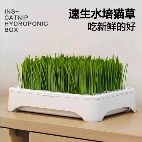 Эксклюзивный набор для проращивания кошачьей травы, 5 пакетов