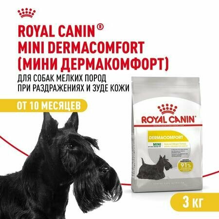 ROYAL CANIN MINI DERMACOMFORT 3 кг корм сухой для взрослых собак мелких размеров, при раздражениях и зуде кожи