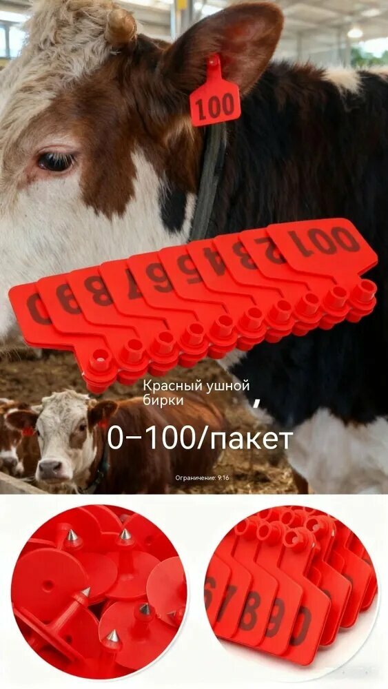 Второе нормативное поголовье, для скота, цвет красный, 0-100 голов