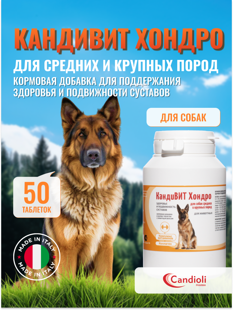 КандиВИТ Хондро Макси, для собак средних и крупных пород