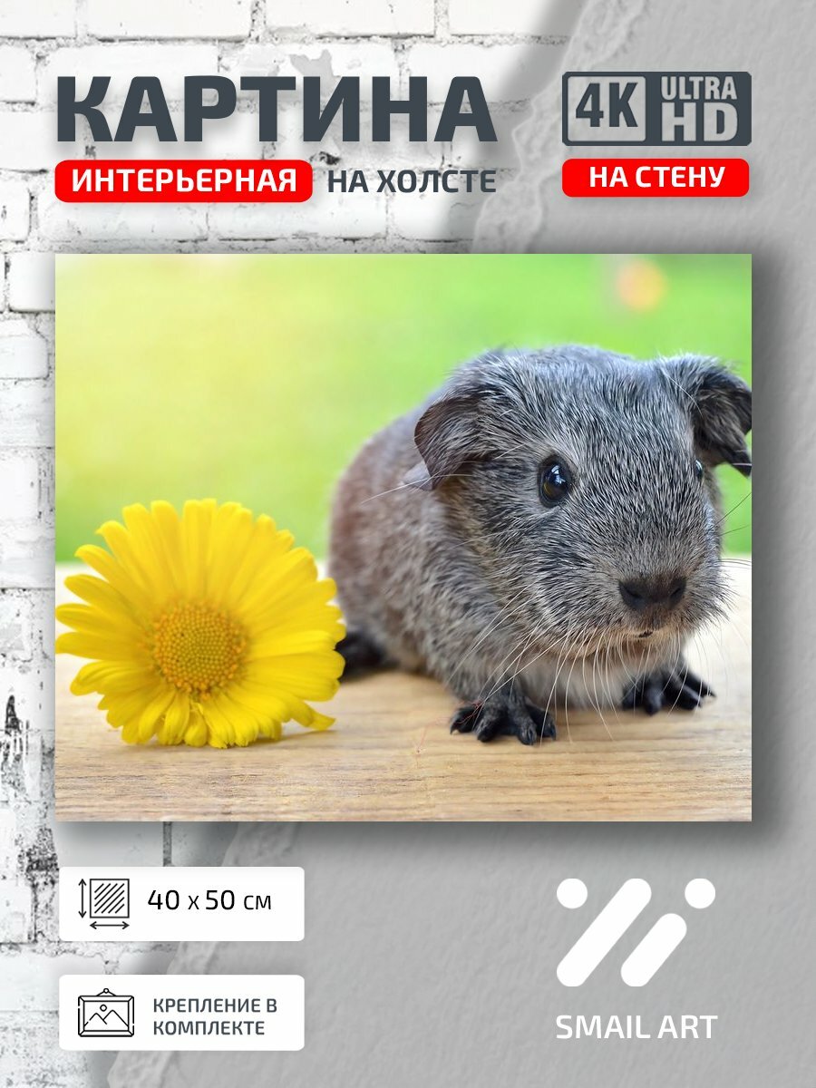 Картина на холсте интерьерная 40 на 50 на стену Стол Mood для офиса атмосфера интерьер