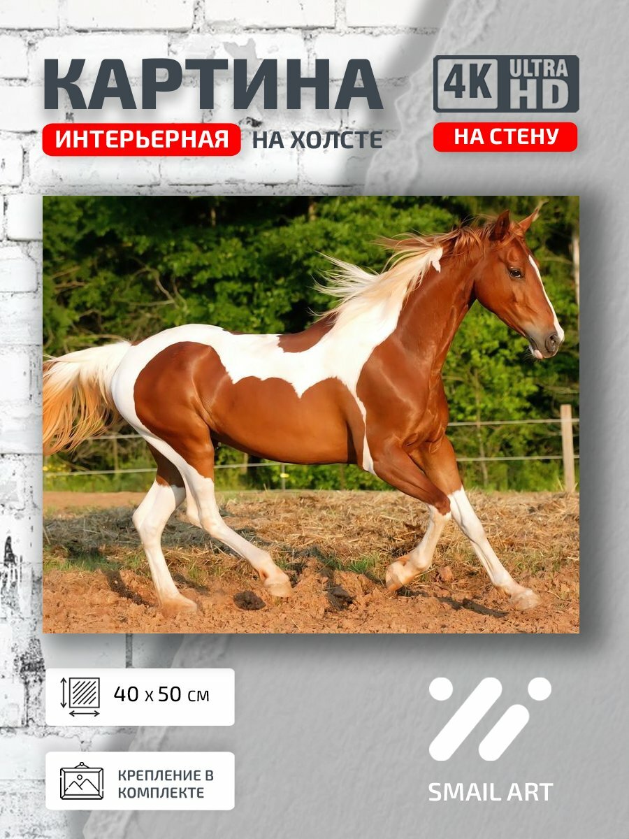 Картина на холсте интерьерная 40 на 50 на стену Лошадка Animal для гостиной animal style