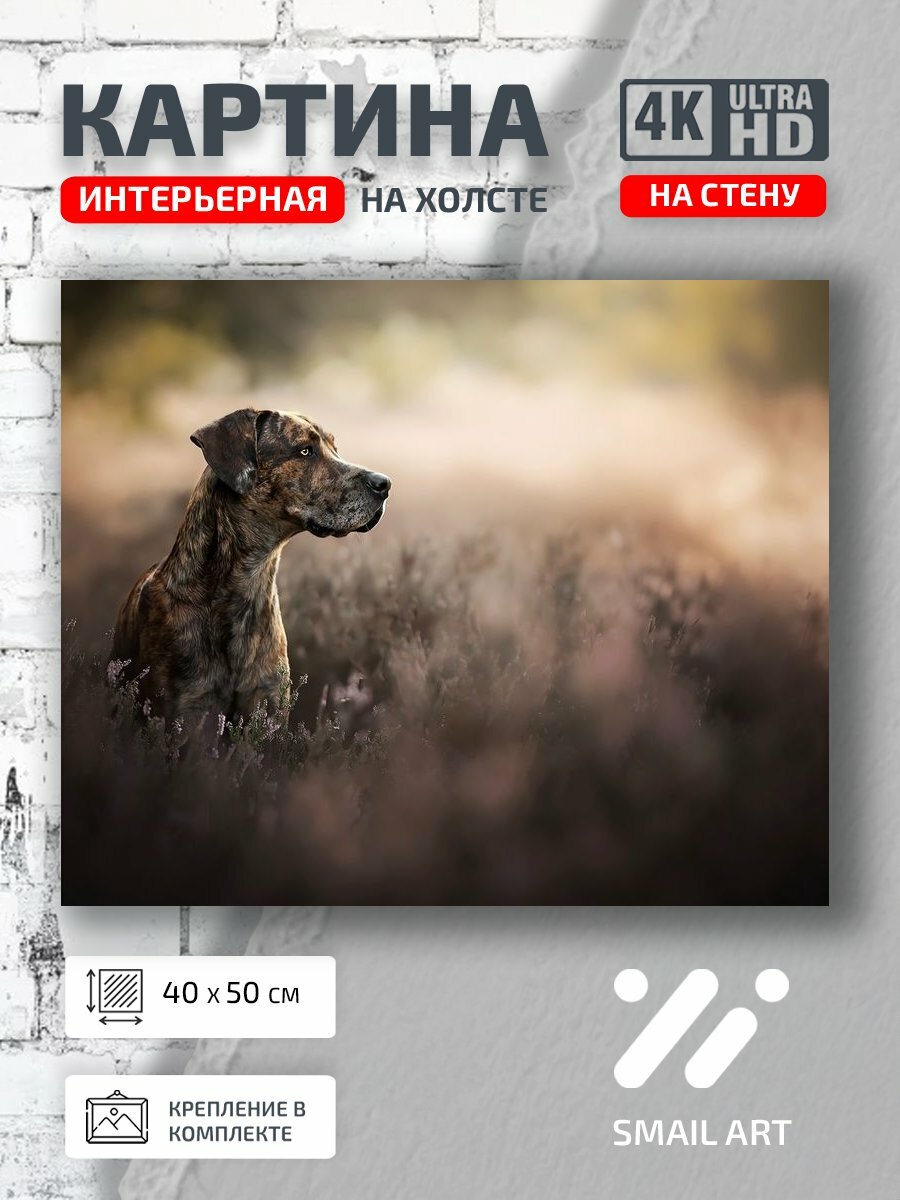Картина на холсте интерьерная 40 на 50 на стену Дог Mood для гостиной атмосфера интерьер