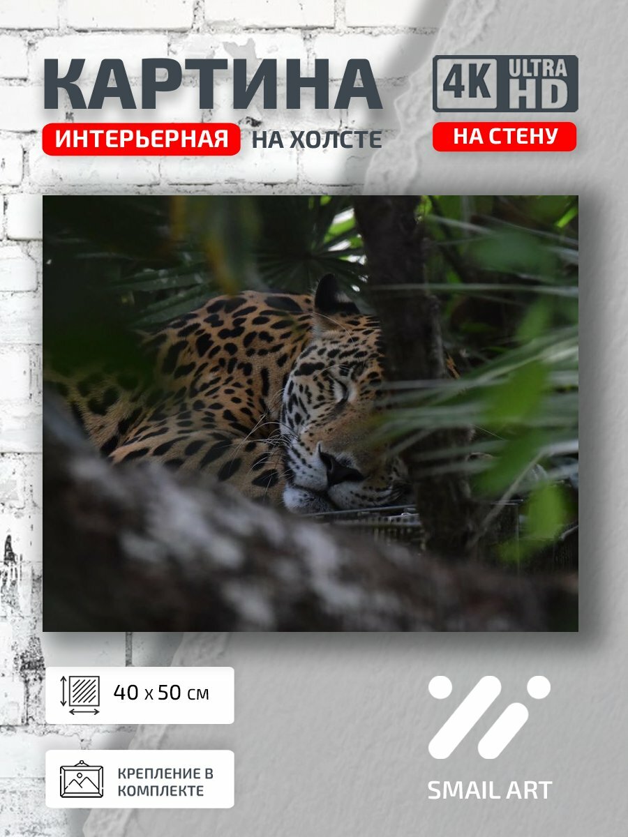 Картина на холсте интерьерная 40 на 50 на стену Спит Mood для офиса атмосфера интерьер