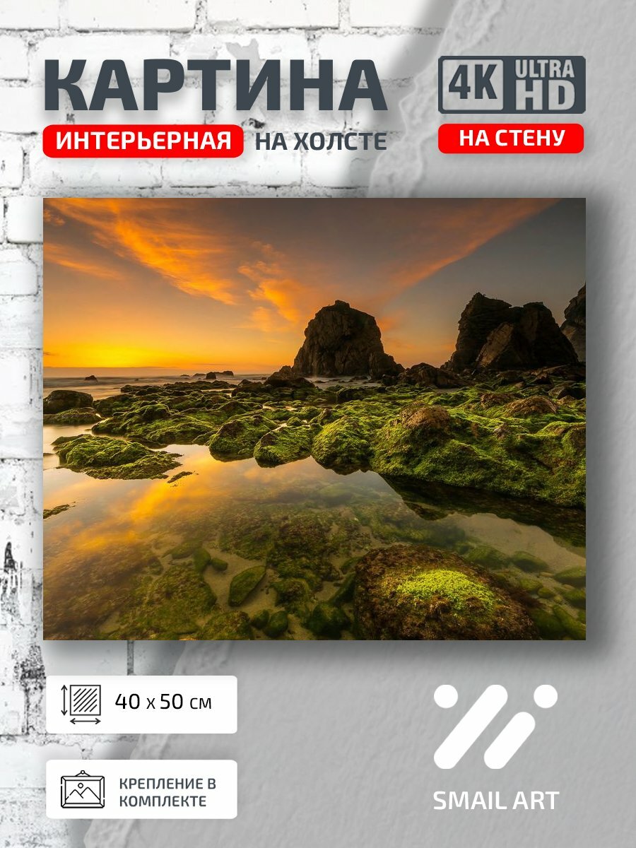 Картина на холсте интерьерная 40 на 50 на стену Мох Landscape для кафе пейзаж интерьер